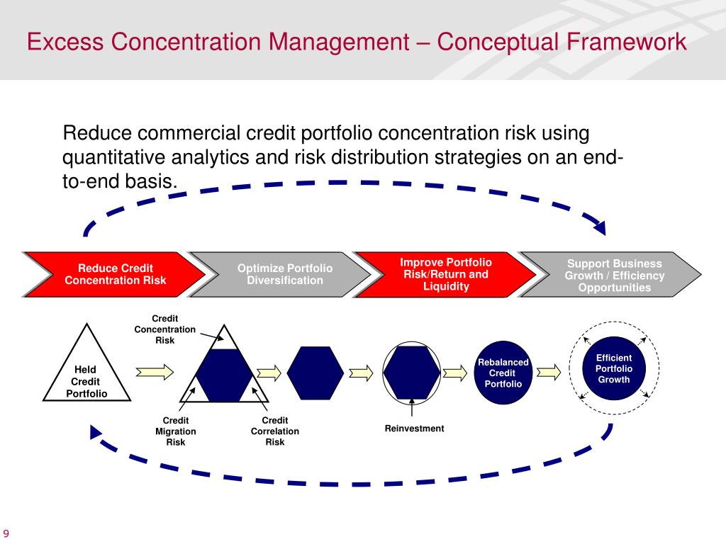 PPT - Dynamic Portfolio Management Process-Observations from the Crisis ...