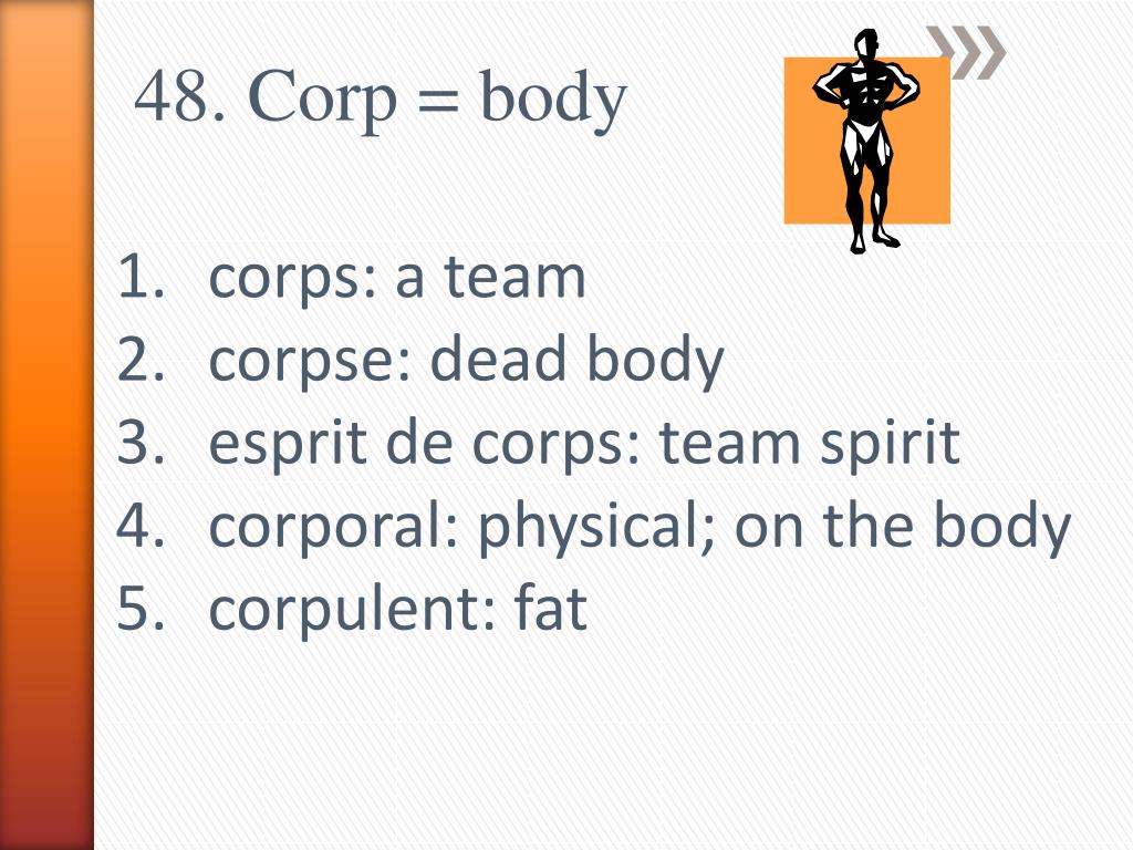 PPT - Lots of English words can be traced back to Latin and Greek ...