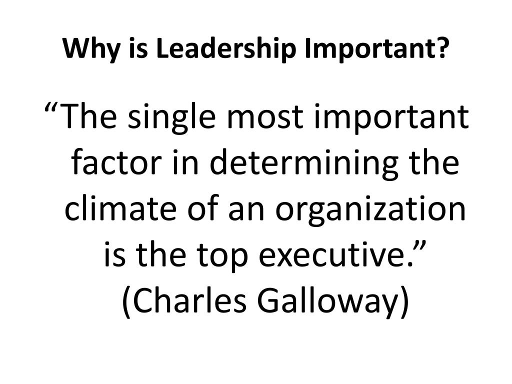 PPT - Leadership in the 21 st Century Libraries PowerPoint Presentation ...