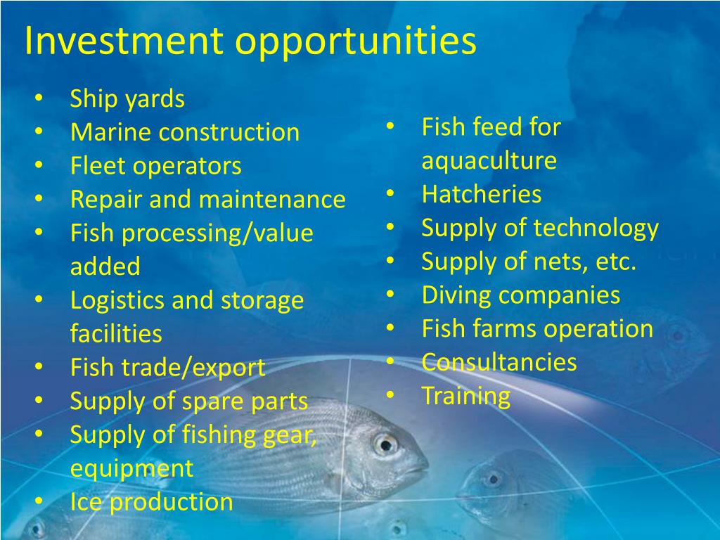 PPT - Investment Opportunities in the Fishing Industry PowerPoint ...