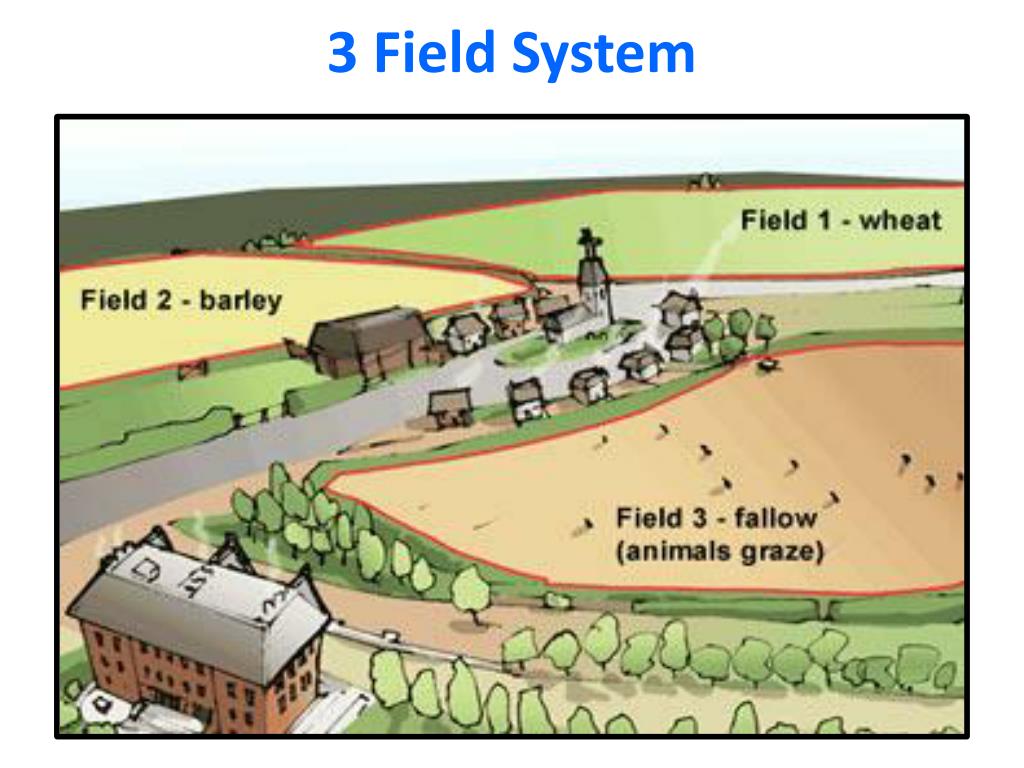 PPT - Aim: Were medieval towns superior to life on the manor ...