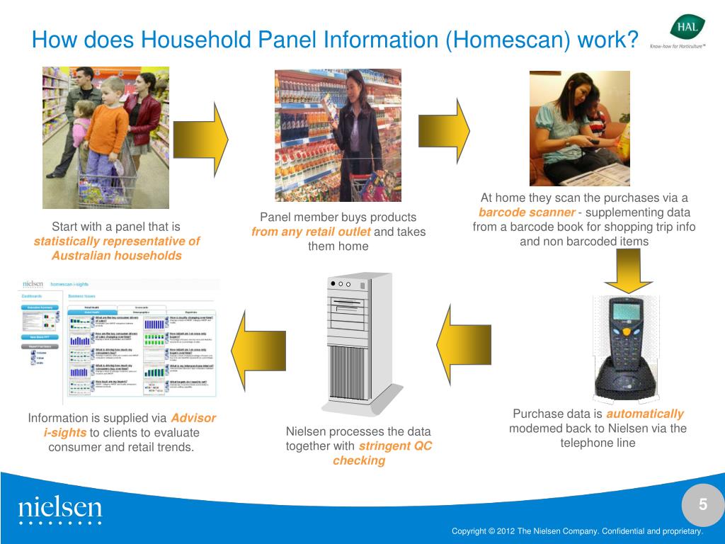PPT - Asian Vegetables Report Brand Health & Demographics PowerPoint ...