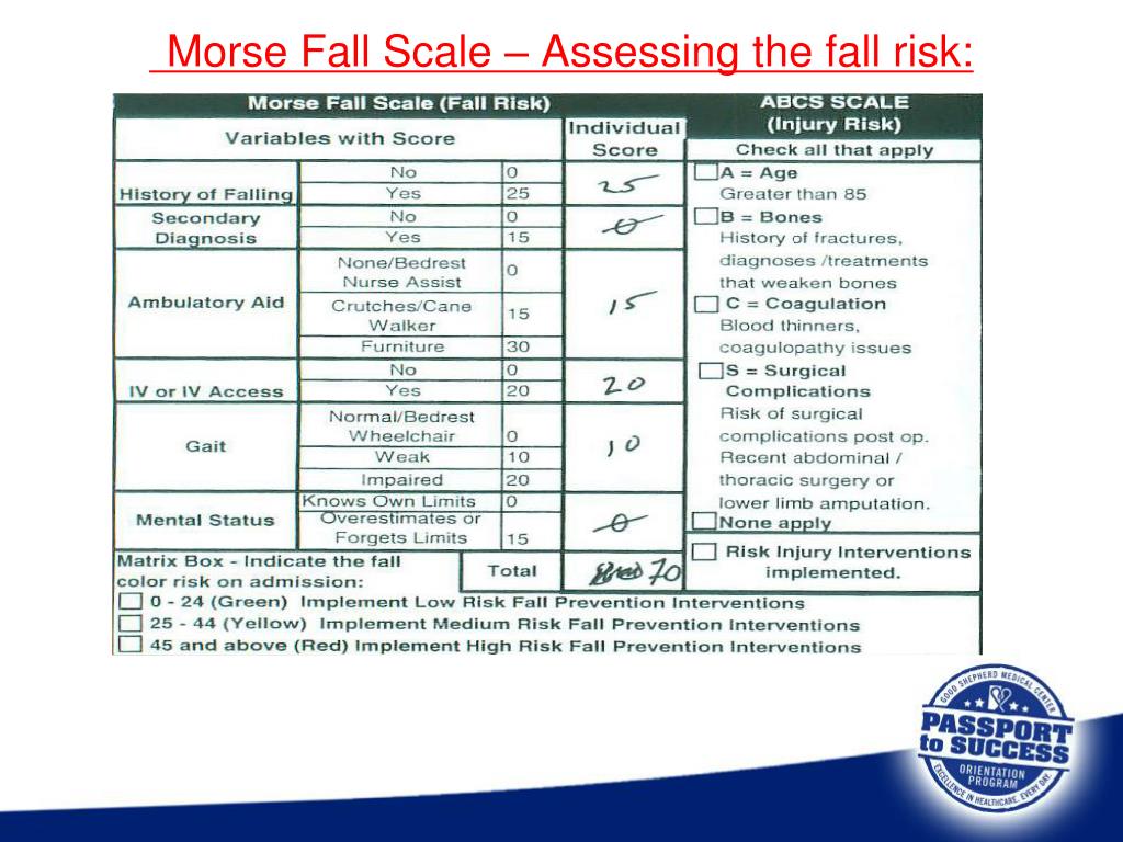 Printable Morse Fall Scale Printable Word Searches