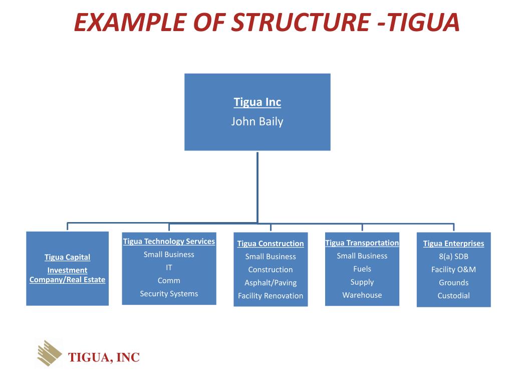 PPT - TIGUA, INC Tribally - Owned 8(a) PowerPoint Presentation, free ...
