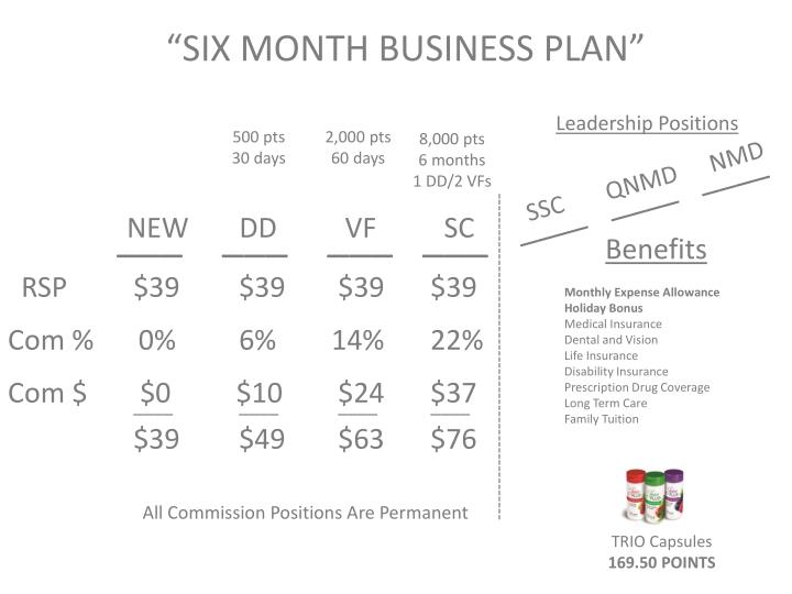 PPT - “Six Month Business Plan” PowerPoint Presentation - ID:1674028