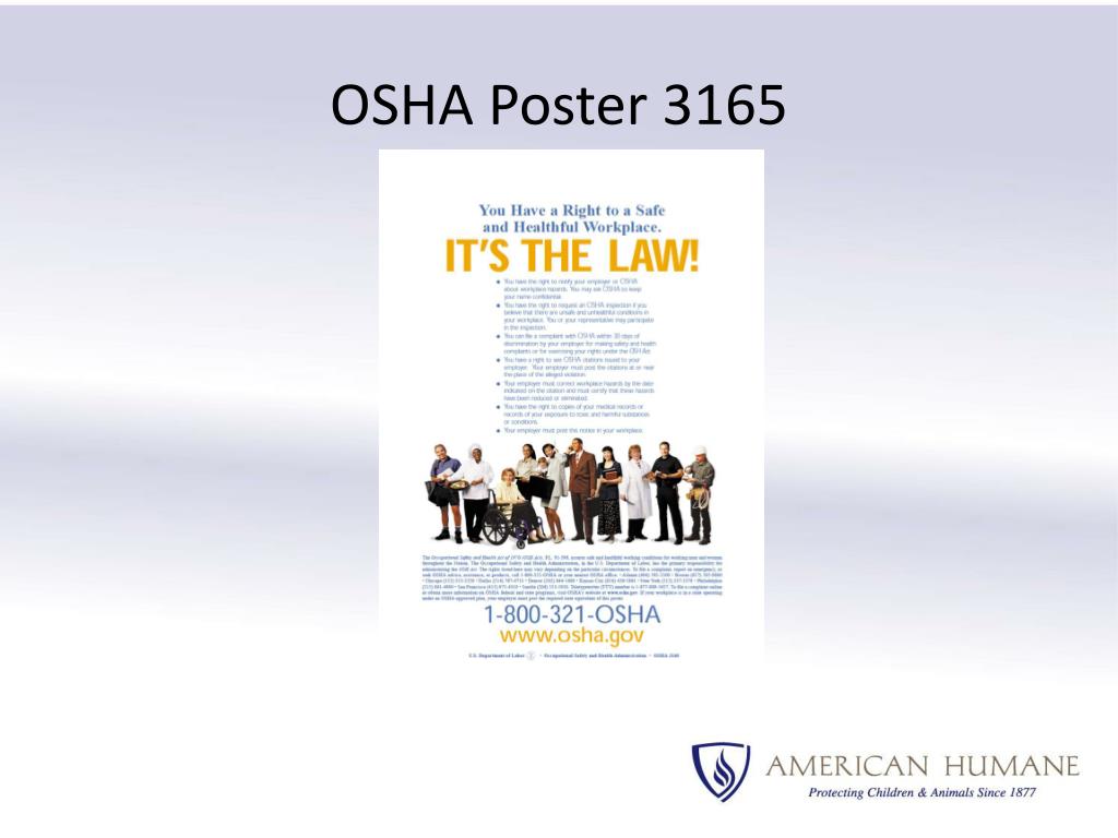 PPT - AMERICAN HUMANE ASSOCIATION The nation’s voice for the protection ...