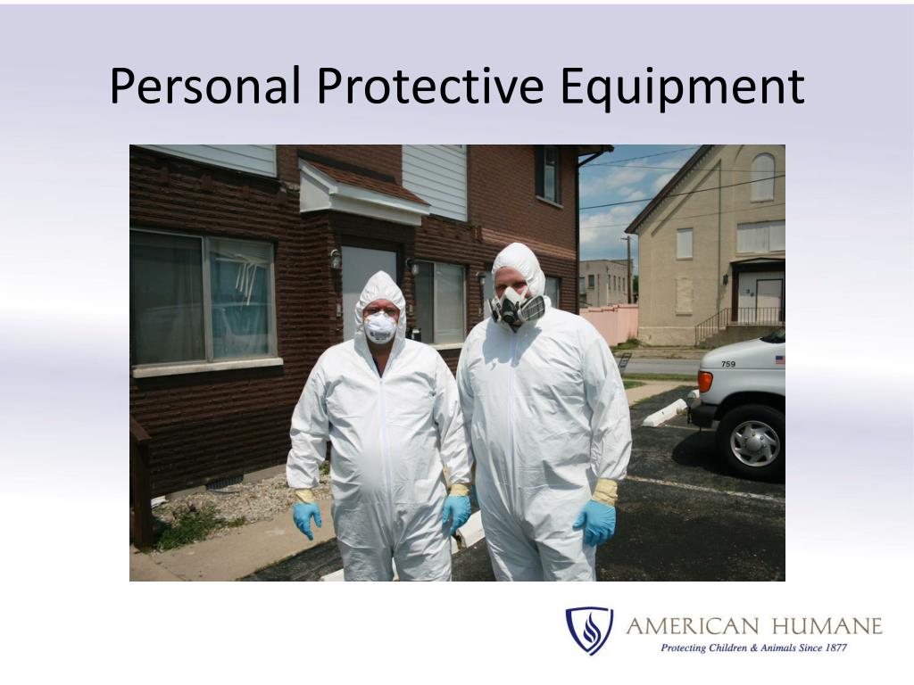 PPT - AMERICAN HUMANE ASSOCIATION The nation’s voice for the protection ...