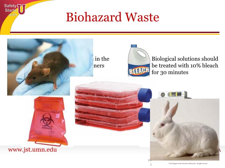 PPT - Use these safety moments as you see fit. PowerPoint Presentation ...