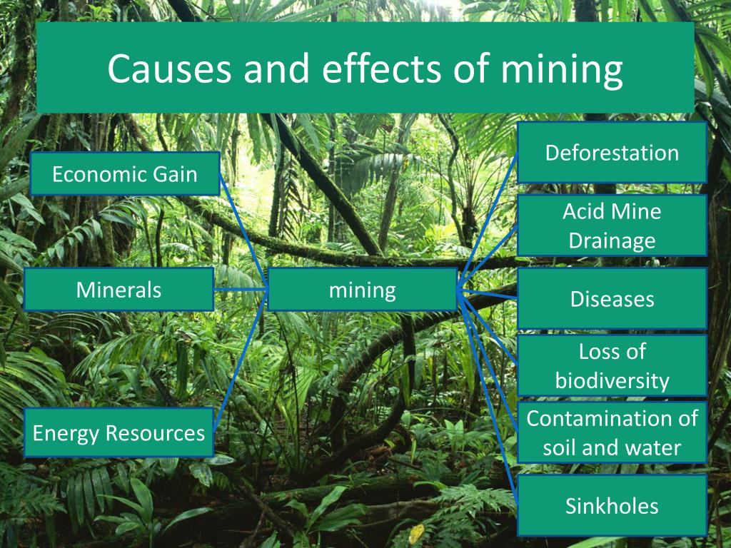 PPT - Human Impact PowerPoint Presentation, free download - ID:1677532