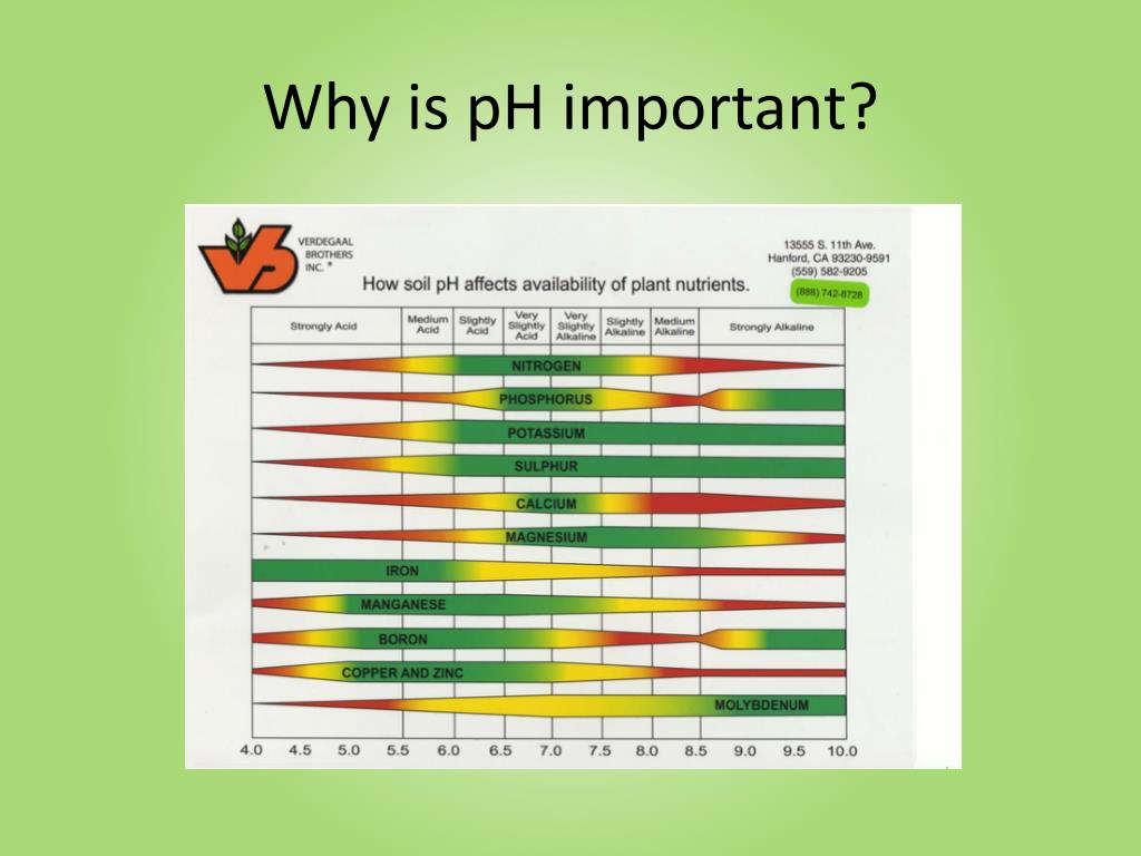 PPT - Brisbane Organic Growers Healthy soil, strong plants, healthy ...