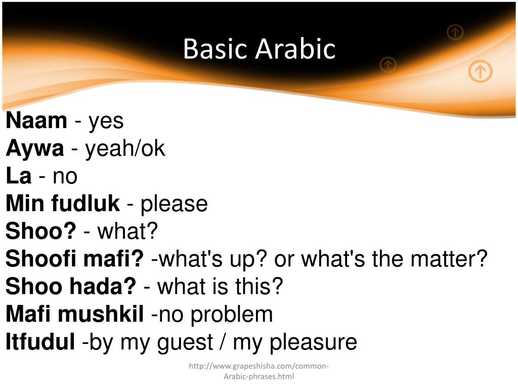 PPT - International Business Etiquette in Iraq PowerPoint Presentation ...