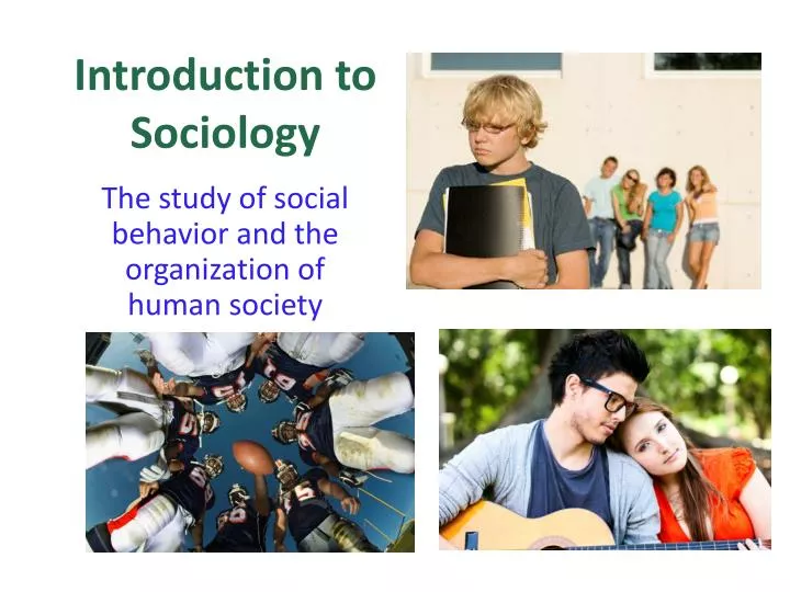 PPT - Introduction to Sociology PowerPoint Presentation, free download ...