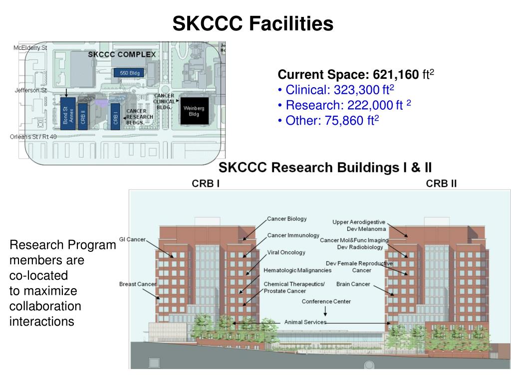 PPT - Sidney Kimmel Comprehensive Cancer Center (SKCCC) Overview ...