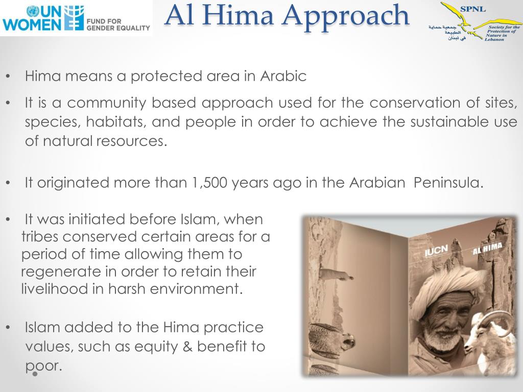 PPT - Solution: Al Hima System a mean of Women Empowerment Presented by ...