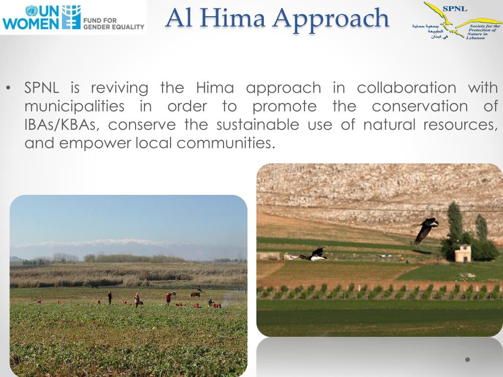 PPT - Solution: Al Hima System a mean of Women Empowerment Presented by ...