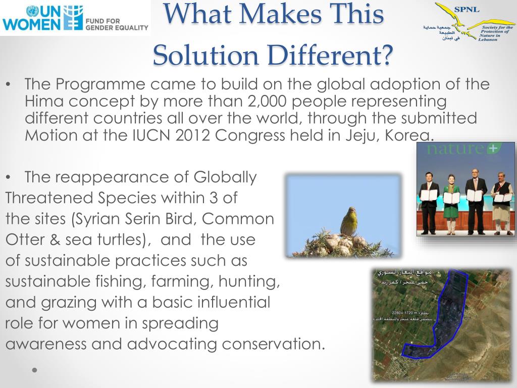 PPT - Empowering Women Through Al Hima: A Sustainable Approach to ...
