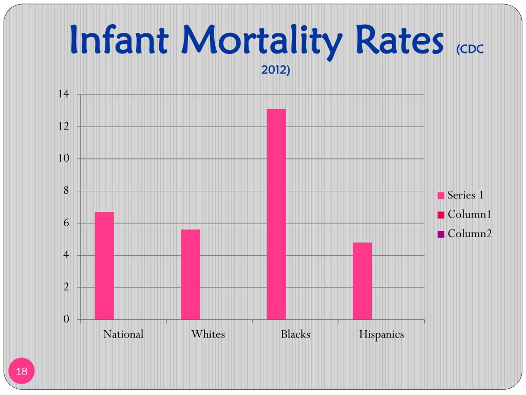 PPT - Maternal and Infant Mortality Health Disparities Research ...