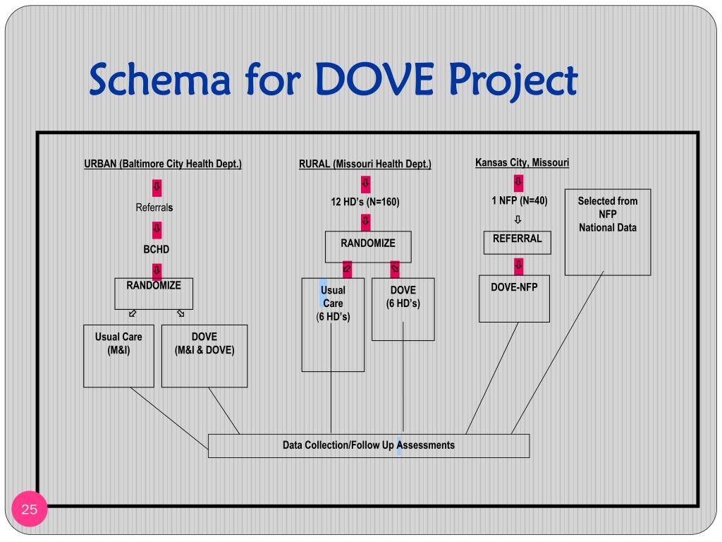 PPT - Maternal and Infant Mortality Health Disparities Research ...
