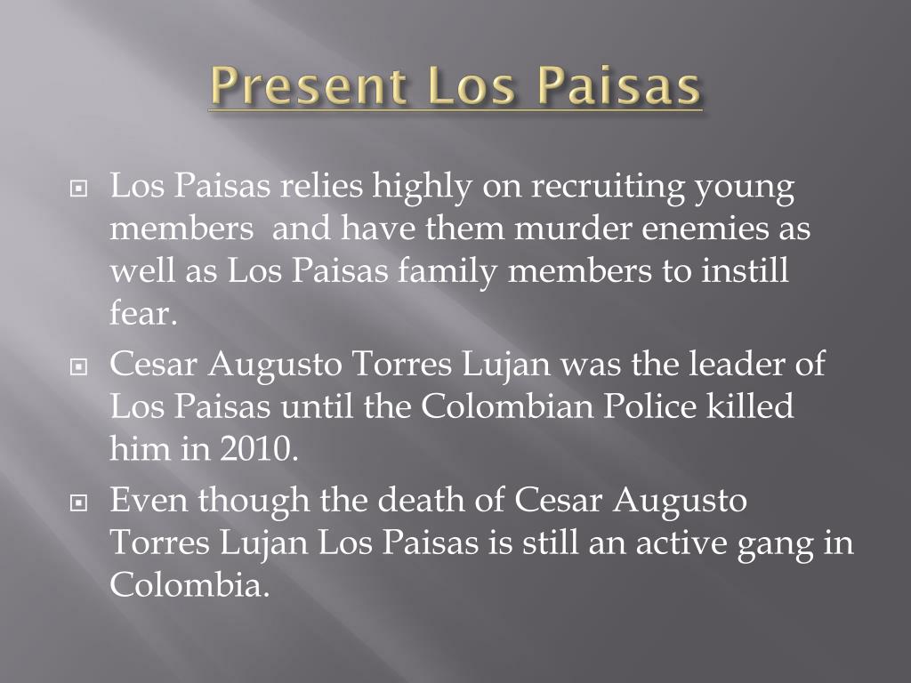 PPT - Gang Violence in Central and Southern America PowerPoint ...