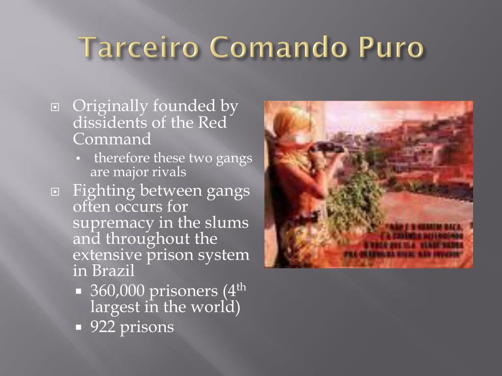 PPT - Gang Violence in Central and Southern America PowerPoint ...