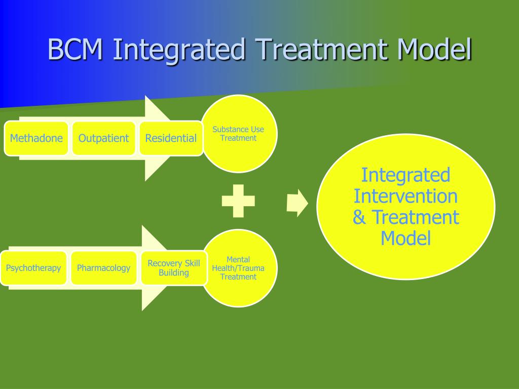 PPT - The Boston Consortium Model: Treatment of Trauma Among Women with ...