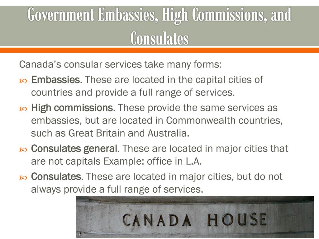 PPT - The role of Government in International Business PowerPoint ...