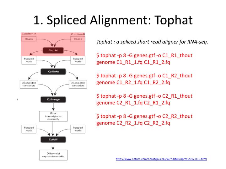 PPT - Introduction To Next Generation Sequencing (NGS) Data Analysis ...