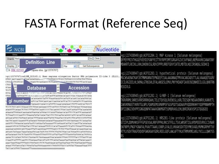 PPT - Introduction To Next Generation Sequencing (NGS) Data Analysis ...