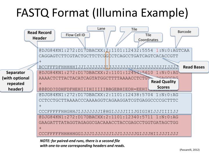 PPT - Introduction To Next Generation Sequencing (NGS) Data Analysis ...