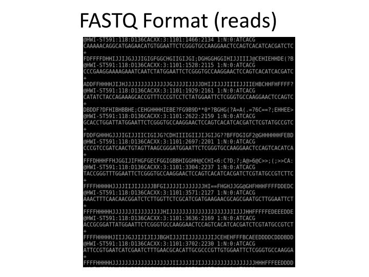 PPT - Introduction To Next Generation Sequencing (NGS) Data Analysis ...