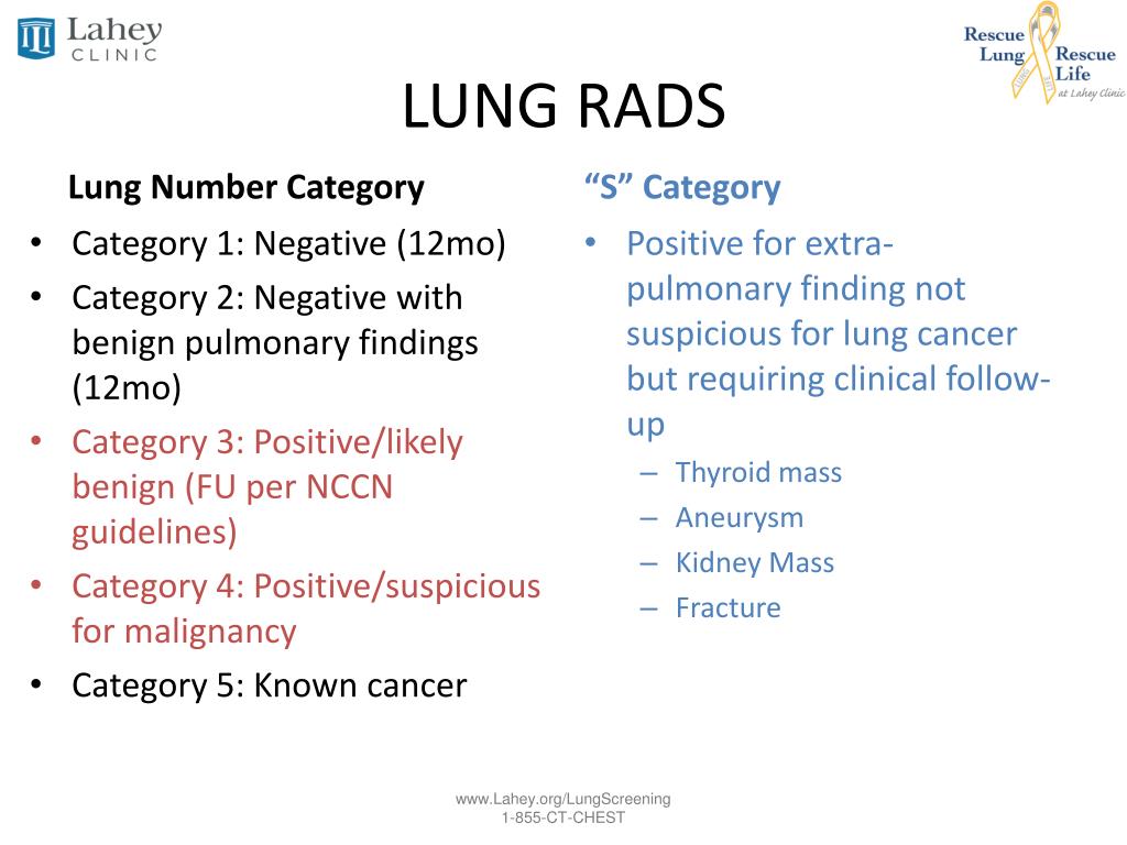 PPT - Andrea McKee, M.D. Chairman Department Radiation Oncology Sophia ...
