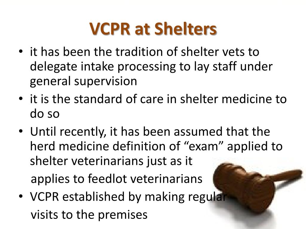 PPT - Ethical and Legal Dilemmas in Shelter Medicine Wendy Blount, DVM ...
