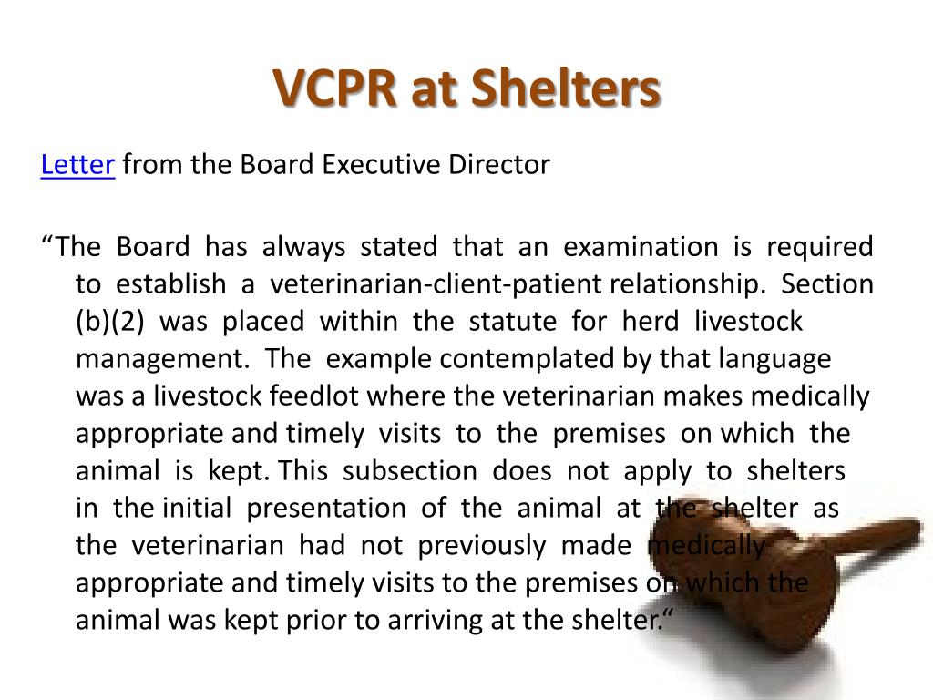 PPT - Ethical and Legal Dilemmas in Shelter Medicine Wendy Blount, DVM ...