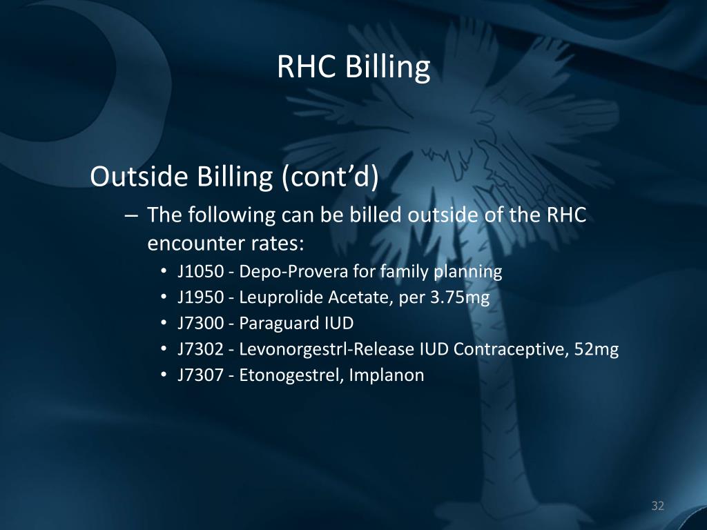 PPT - SOUTH CAROLINA DEPARTMENT OF HEALTH AND HUMAN SERVICES PowerPoint ...