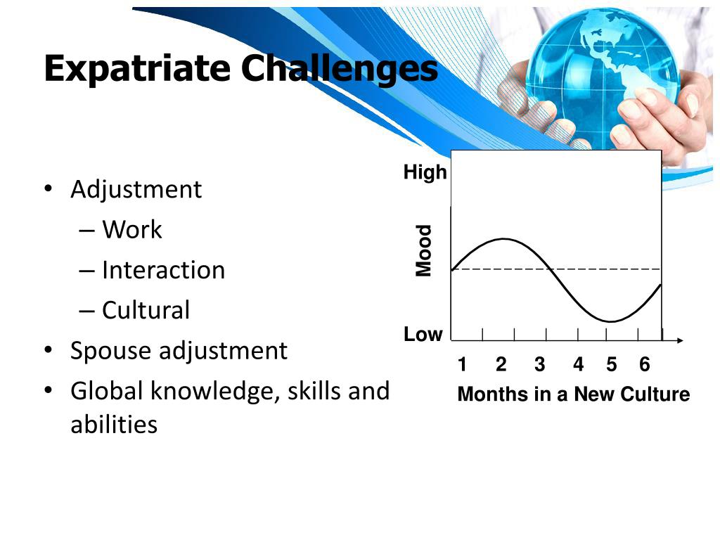 PPT - Global Careers: Personal and Organizational Challenges and ...
