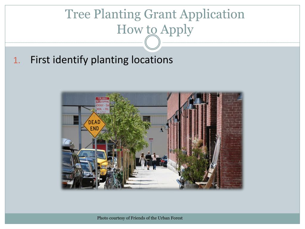 PPT - Ellen Roane Urban Forestry Program Coordinator DCNR Bureau Of ...