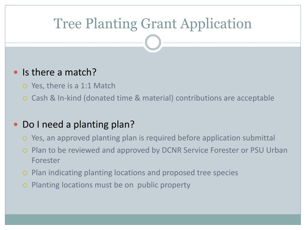 PPT - Ellen Roane Urban Forestry Program Coordinator DCNR Bureau Of ...