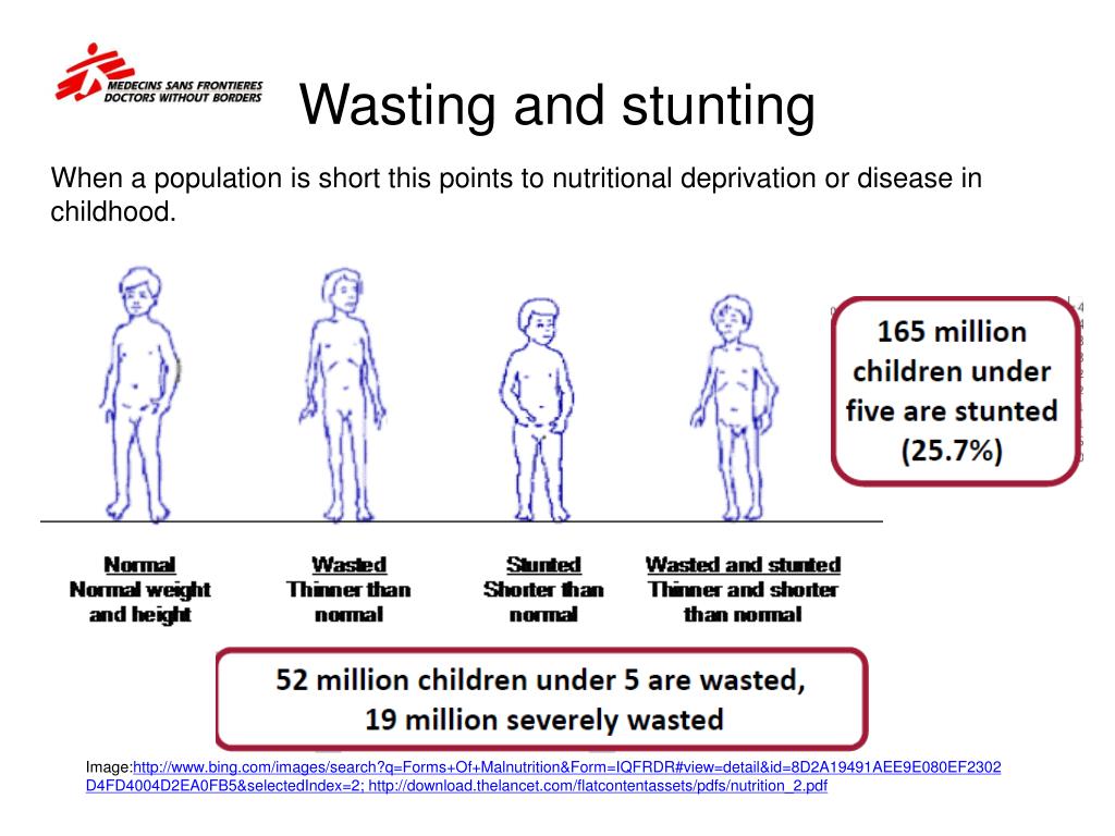PPT - Famine and Feast Life on the margins : the inequality of food and ...