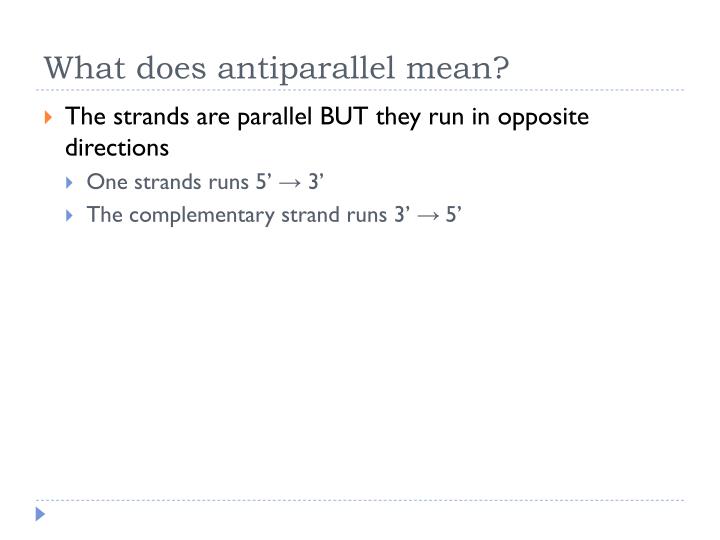 PPT - DNA Structure and Replication Review PowerPoint Presentation - ID ...