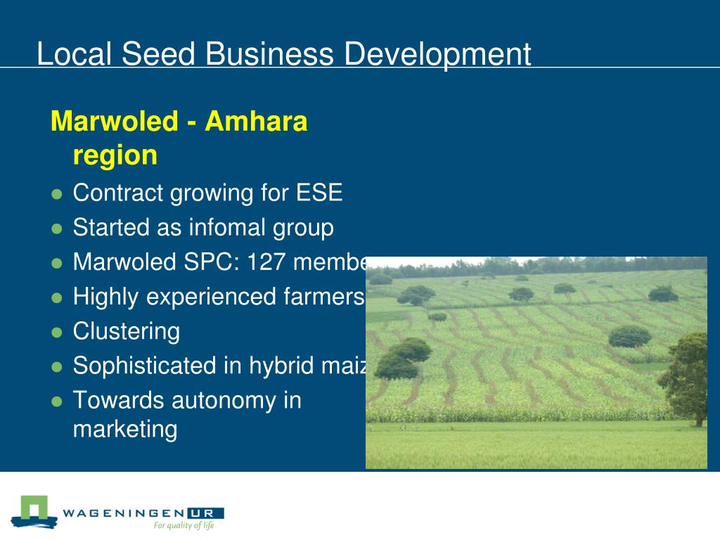 PPT - Local Seed Business Development and Partnerships in Ethiopia ...