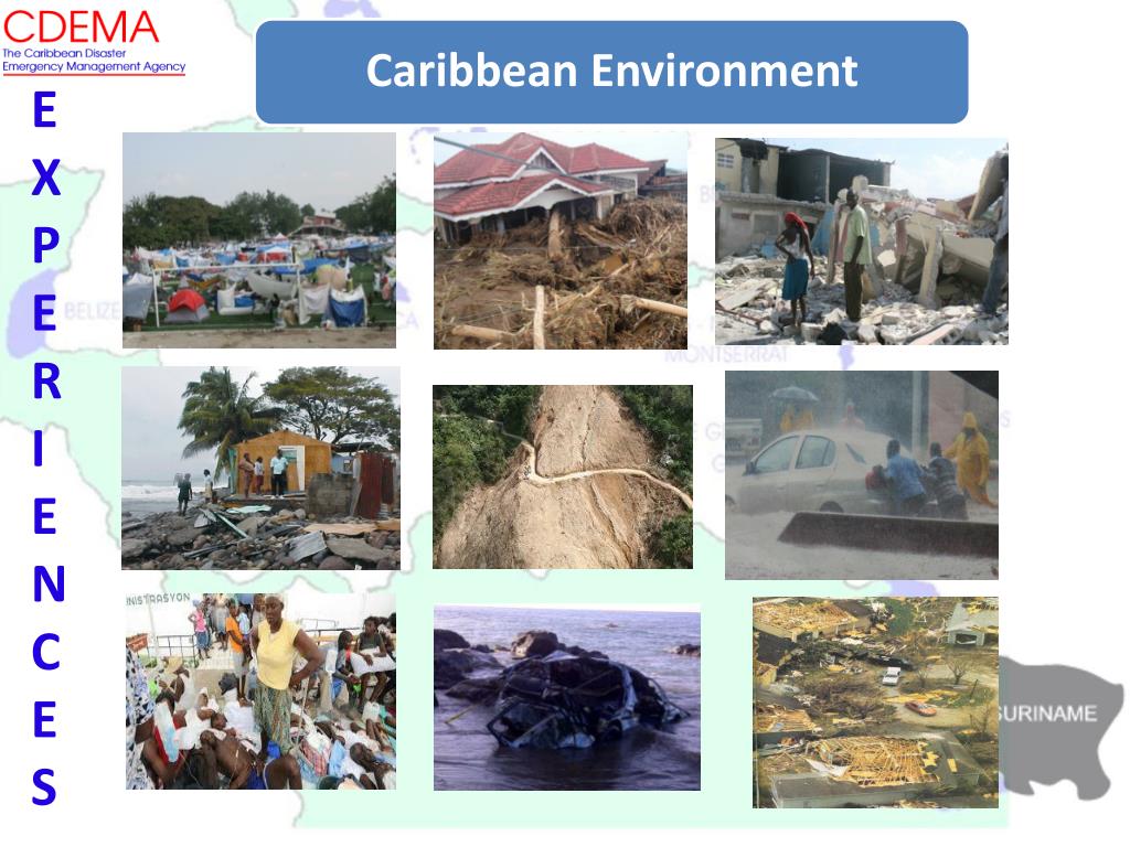 PPT - Presentation by Dr Elvis Nurse, Director, Resources Management ...