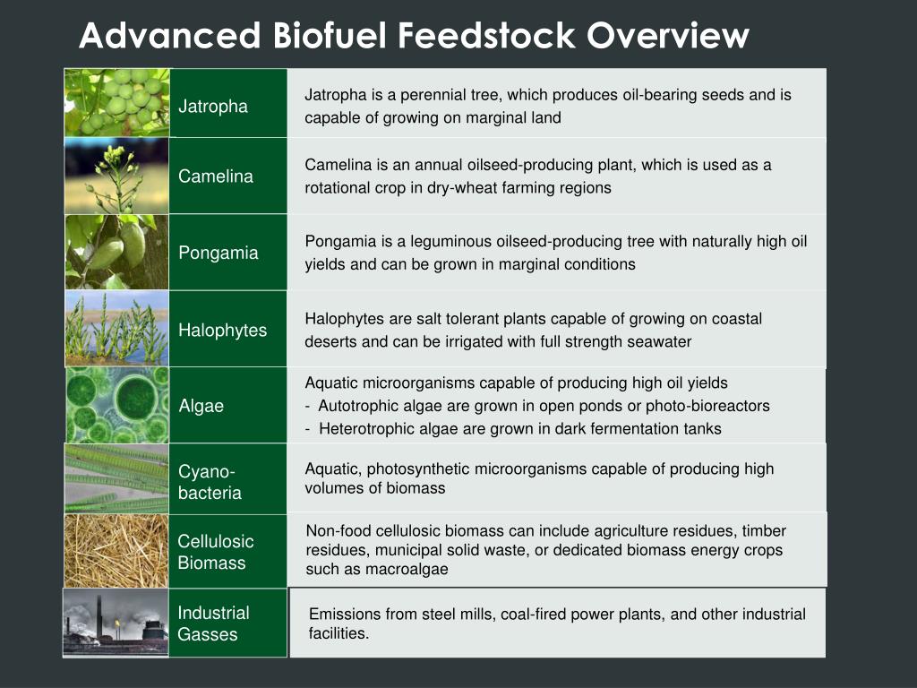 PPT - Renewable Aviation Fuels Carbon War Room PowerPoint Presentation ...