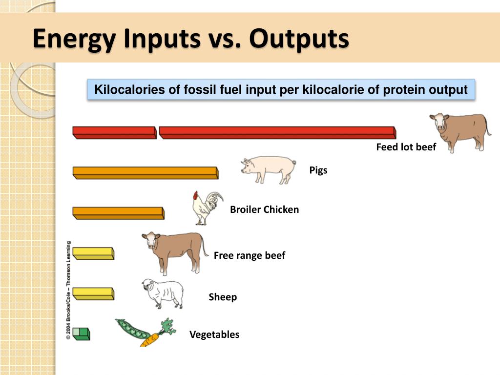 PPT - 11/4 Bellringer : Conventional Agriculture What is agriculture ...