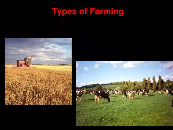 PPT - Types of Farming PowerPoint Presentation, free download - ID:1695345