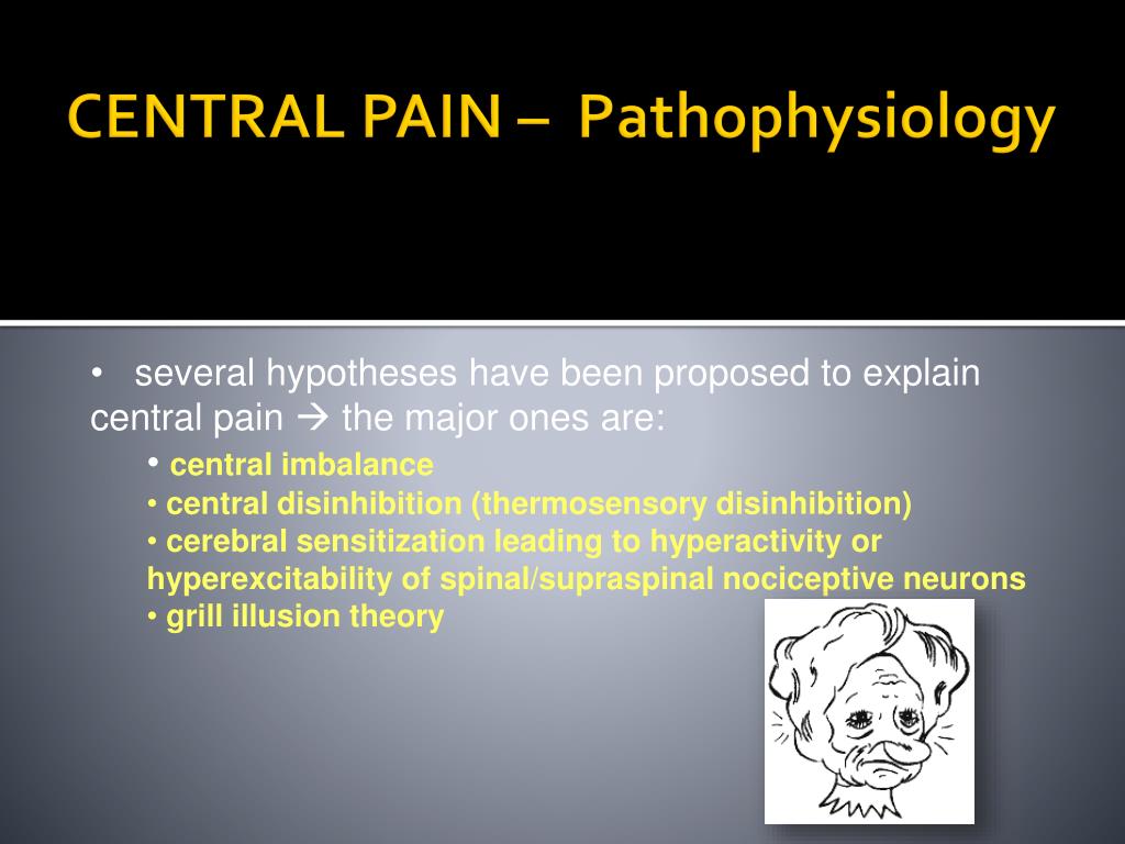 PPT - CENTRALNA BOLEČINA – PATOFIZIOLOGIJA IN TERAPIJA CENTRAL PAIN ...