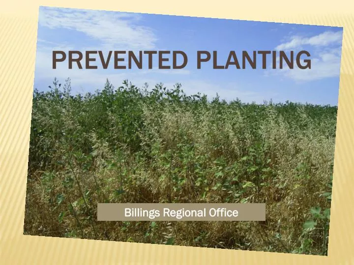 PPT - Prevented Planting PowerPoint Presentation, free download - ID ...