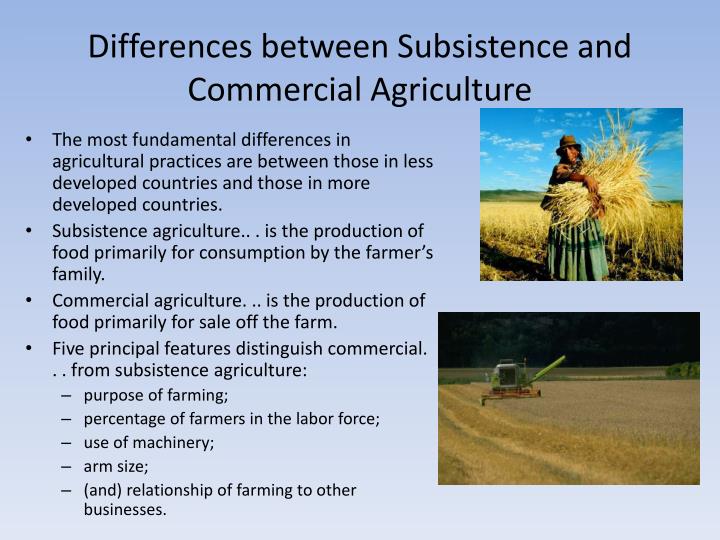 PPT - Origins of Agriculture PowerPoint Presentation - ID:1696121