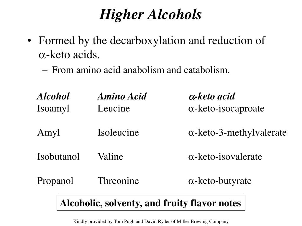 PPT - The Art of Brewing and The Biology of Lager Yeast PowerPoint ...
