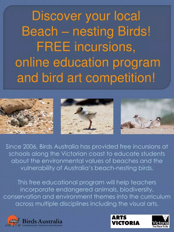 PPT - Discover your local Beach – nesting Birds! FREE incursions ...