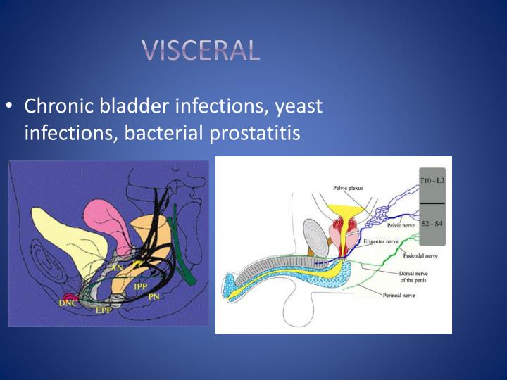PPT - The Diagnosis and Treatment of Vaginismus PowerPoint Presentation ...